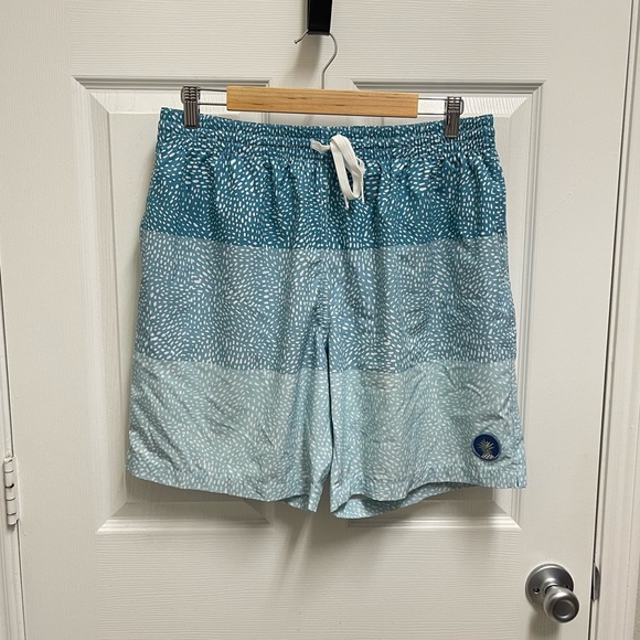 chubbies | Swim | Chubbies Turquoise Ombre Speckled Swim Trunks | Poshmark